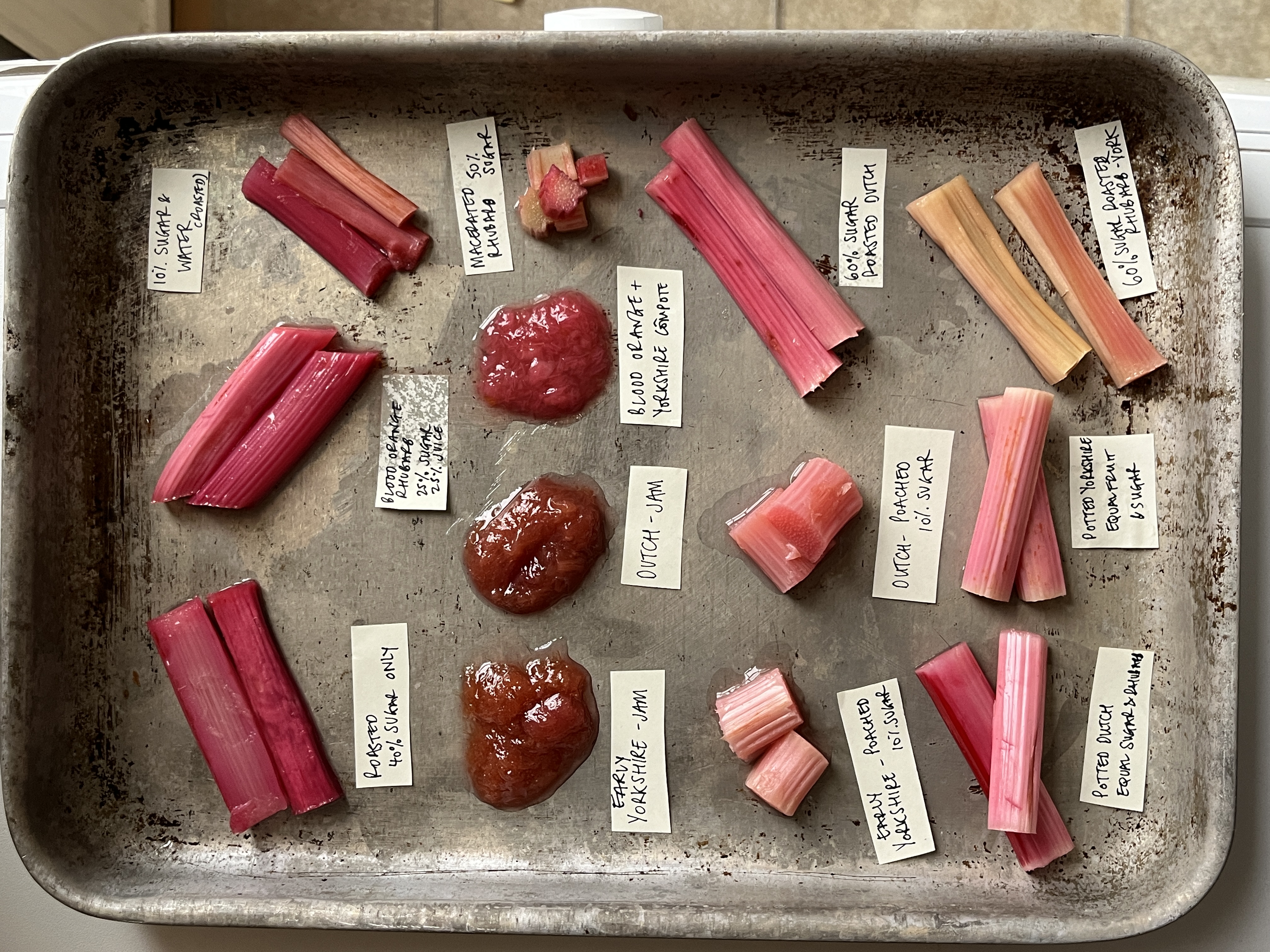 Kitchen Project #128: Everything Rhubarb - by Nicola Lamb