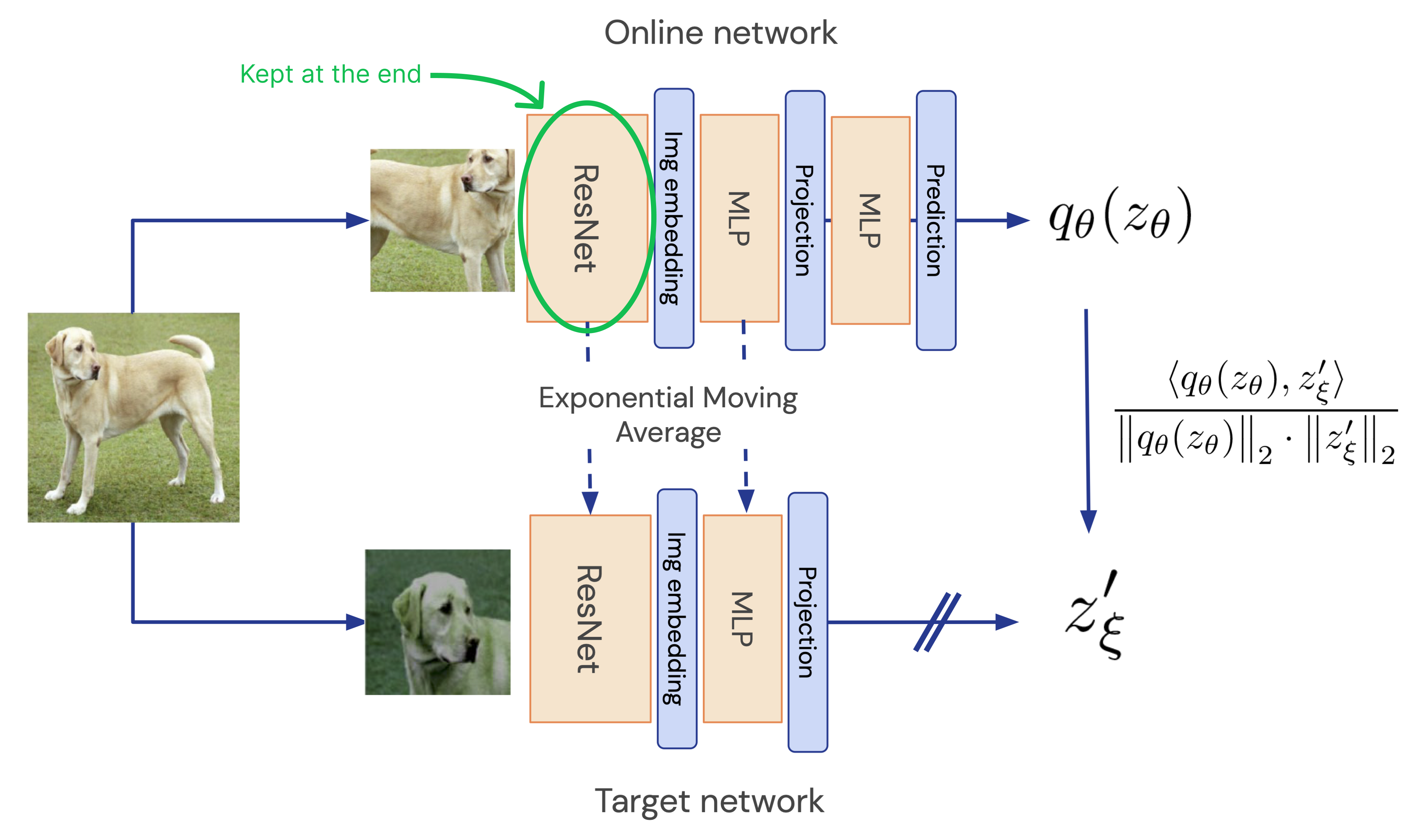 11. BYOL: Bootstrap Your Own Latent - by Massimiliano Viola