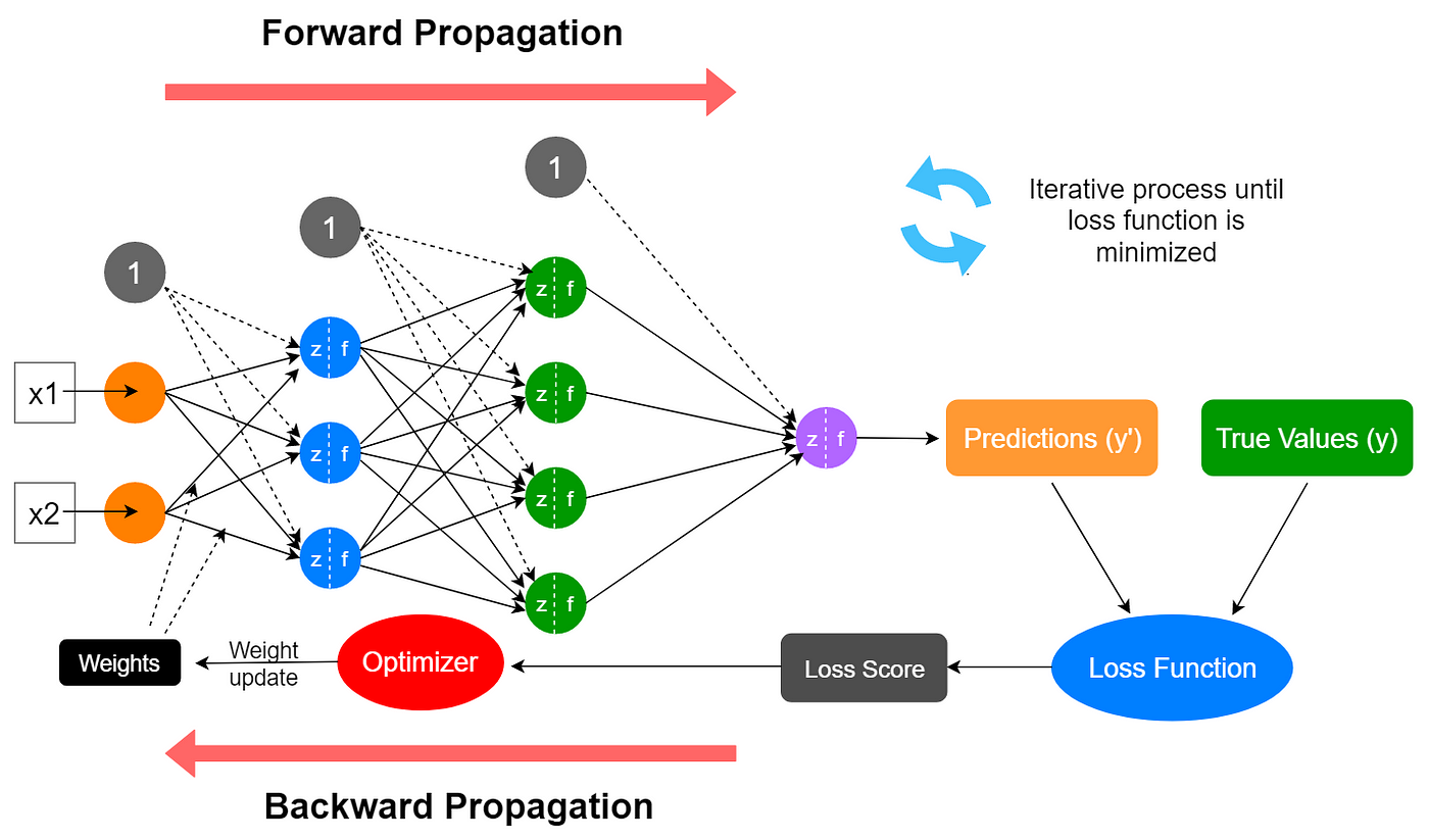 Neural Networks 101: Understanding the “Brains” Behind AI