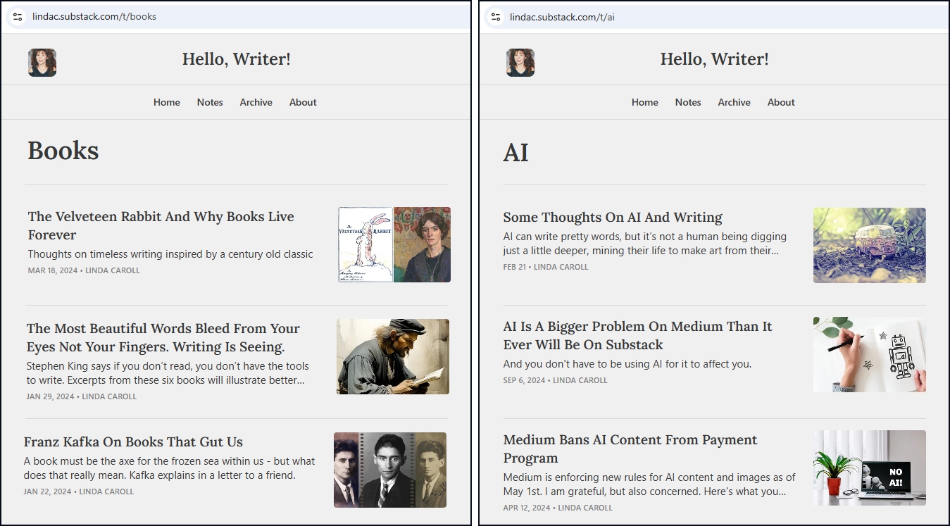 The Best Way To Use Substack Tags - by Linda Caroll