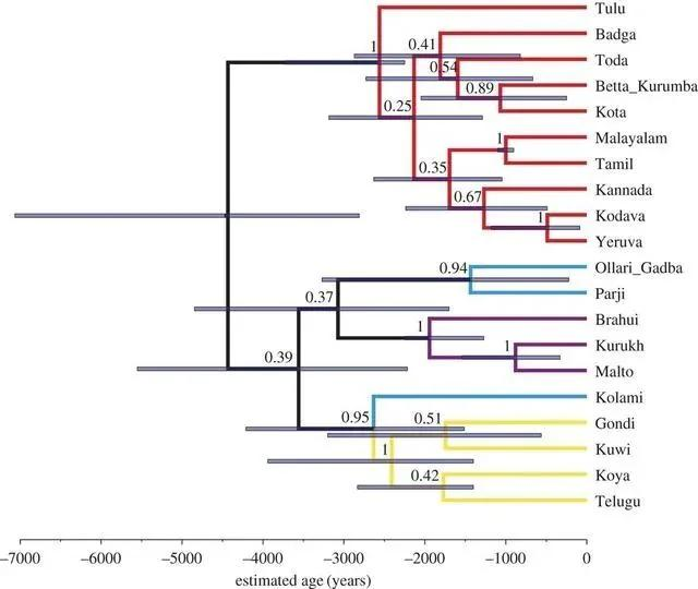 The Origins and Evolution of The Dravidian Languages