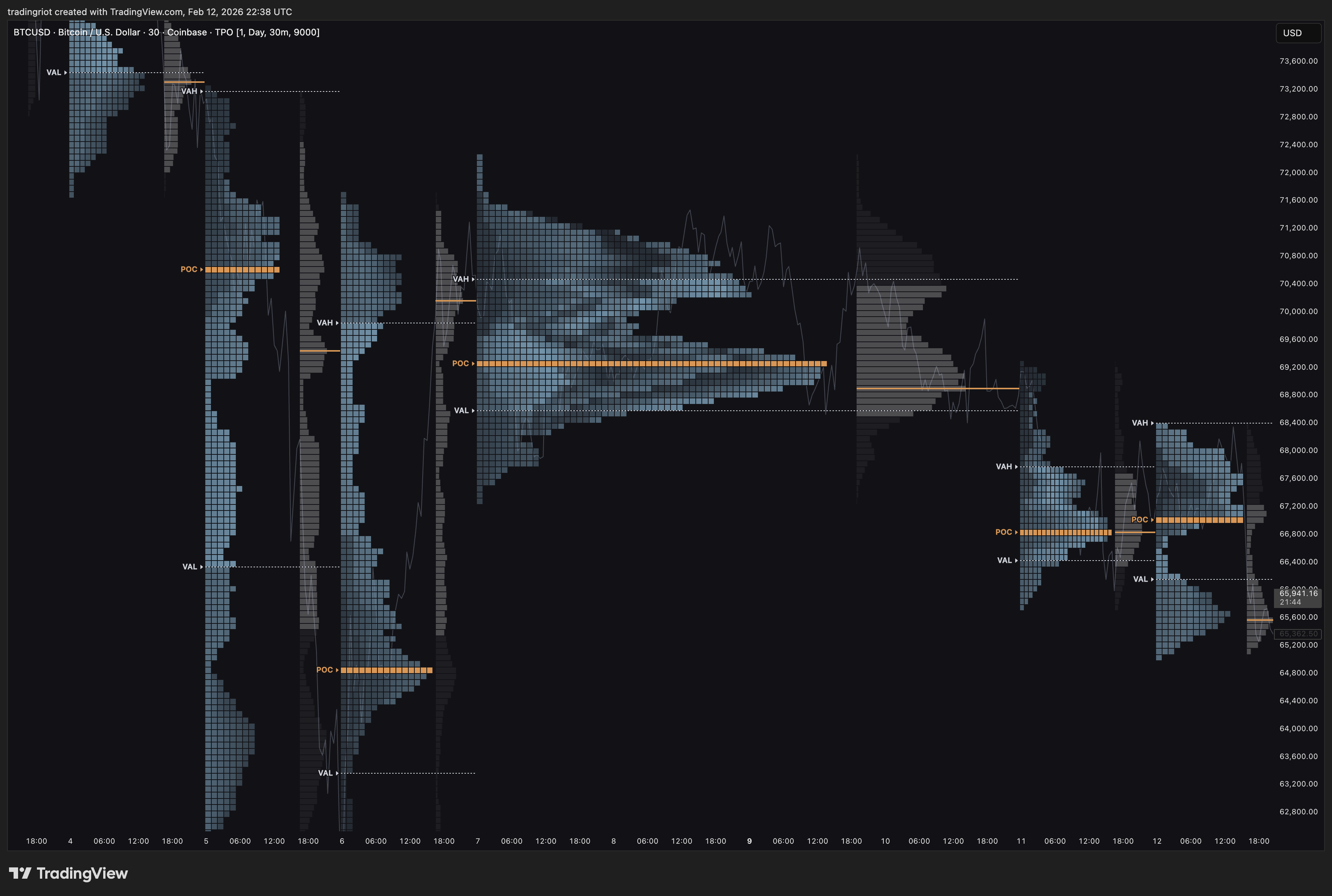 Auction Market Theory - by Adam - TRADINGRIOT