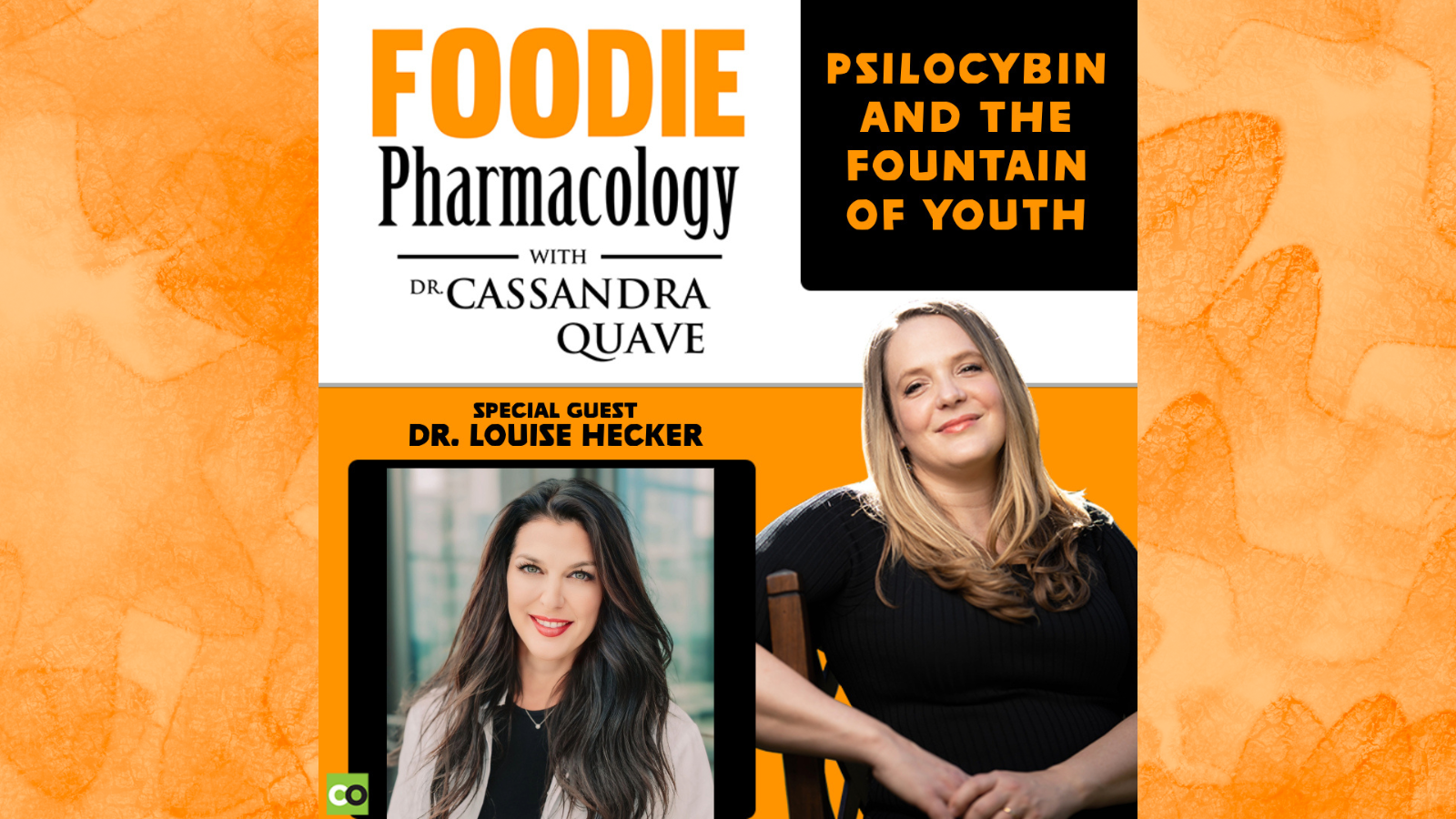 🎧Psilocybin and the Fountain of Youth with Dr. Louise Hecker