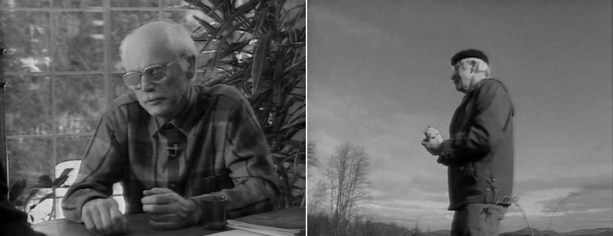 'The Man Who Planted Trees' Was an Impossible Task