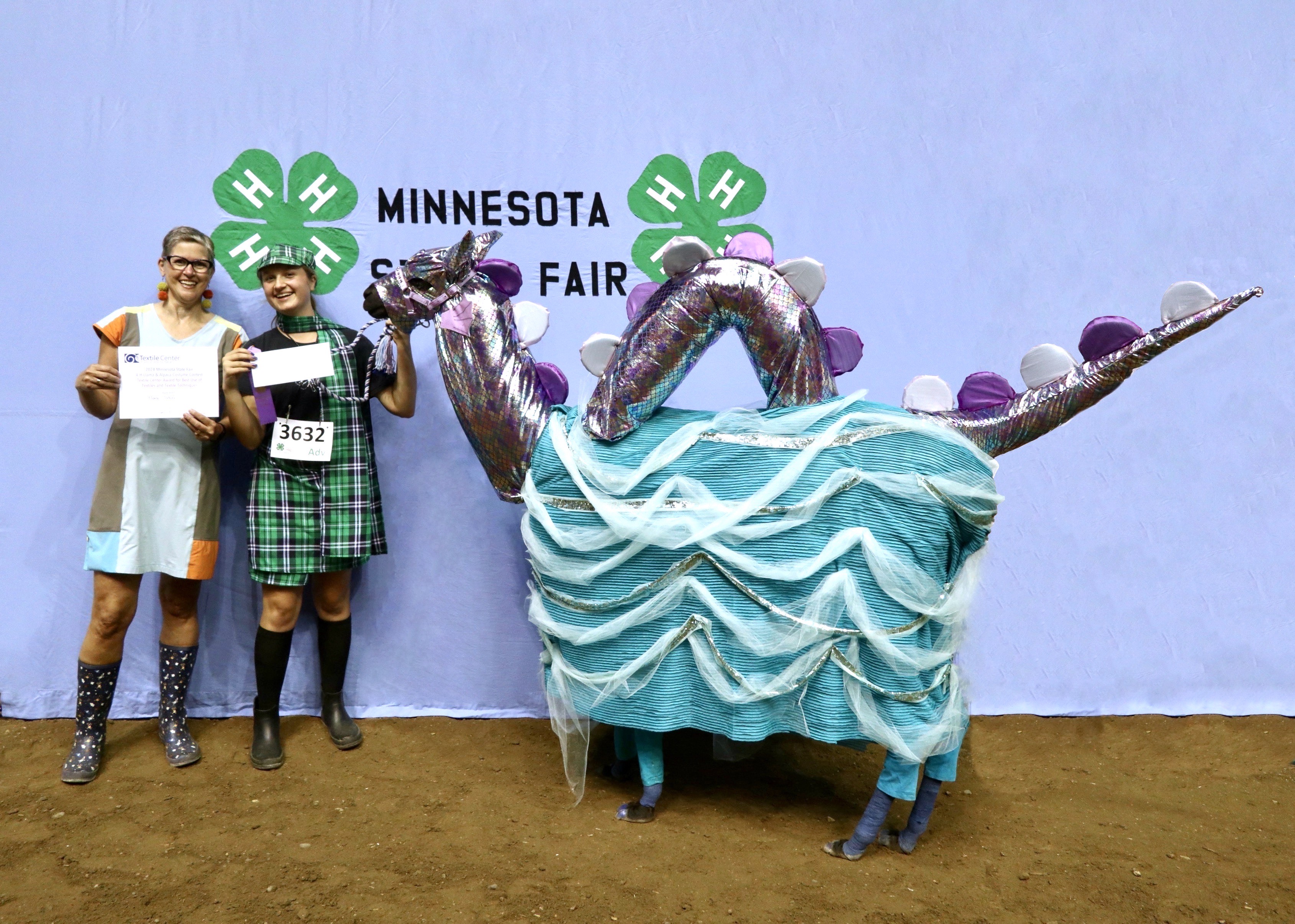 Textile Center rewards creativity at the Minnesota State Fair Llama ...