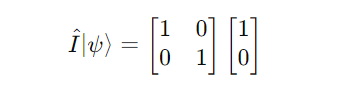 An Introduction To Bra-Ket (Dirac) Notation