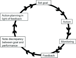 The Ultimate Guide to Behavioral Science Models, Frameworks and ...