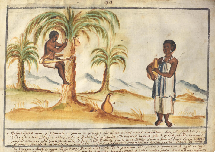 A history of Women's political power and matriliny in the kingdom of Kongo.