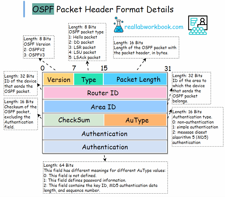 OSPF Packet Header Format Details - by Rose White