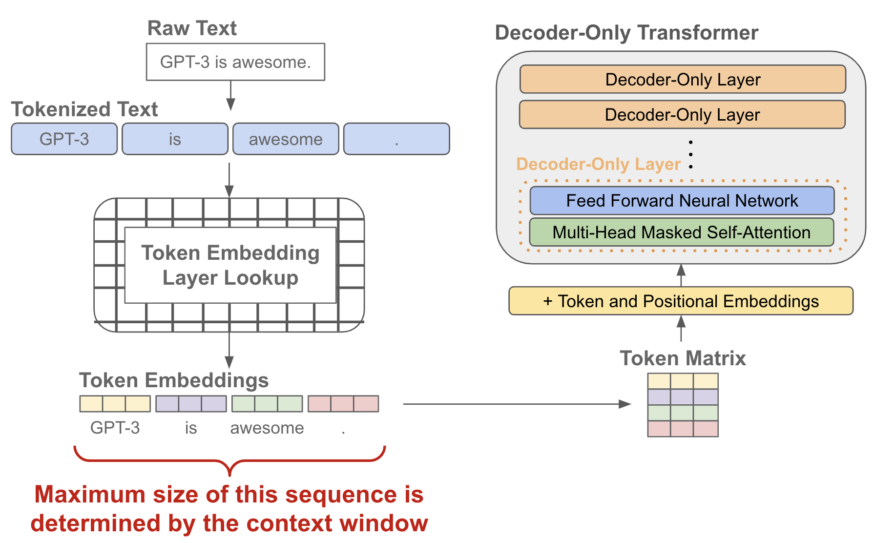 Language Model Training and Inference: From Concept to Code