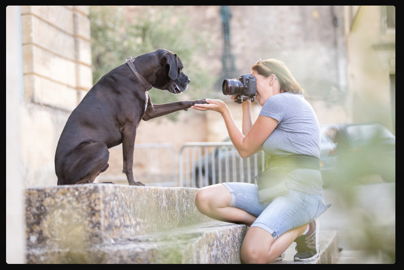 Master Pet Photography: Tips, Gear & Common Mistakes to Avoid