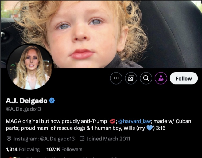 EXCLUSIVE: Judge Rules Trump's Former Senior Advisor AJ Delgado Can ...