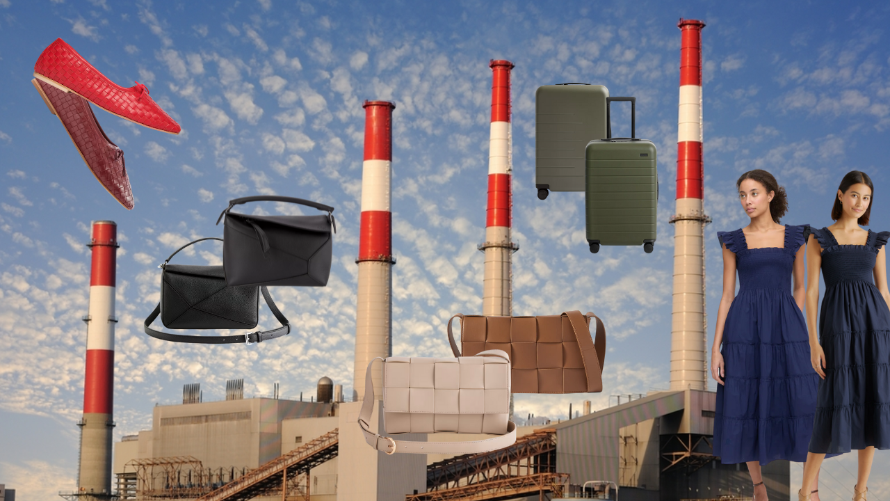 What's the Deal with Quince? - by Devon Rule - BRAND PANIC