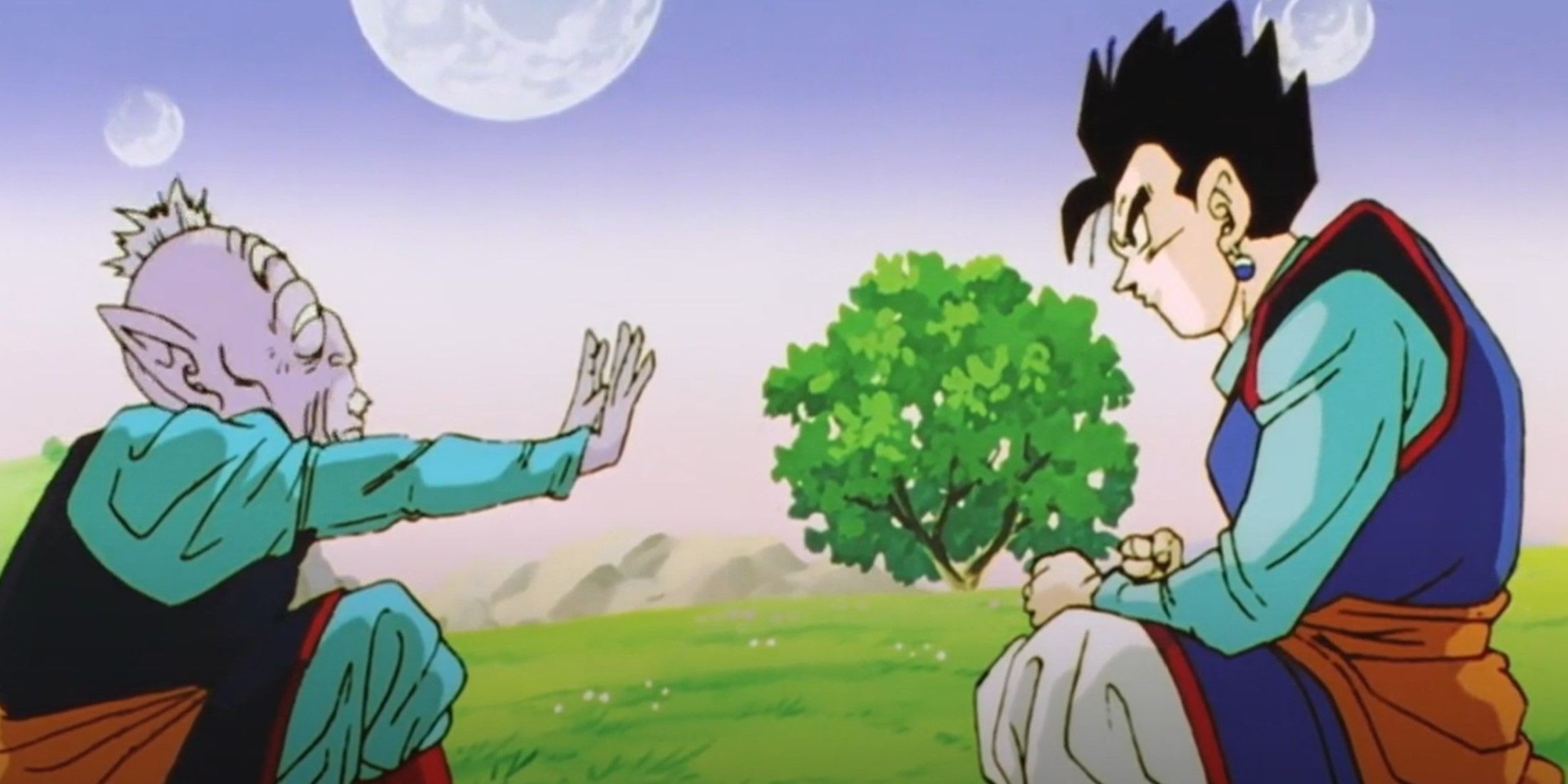 The Origin of Gohan’s Beast Form: Kai Ancestry or Chi-Chi's Bloodline?