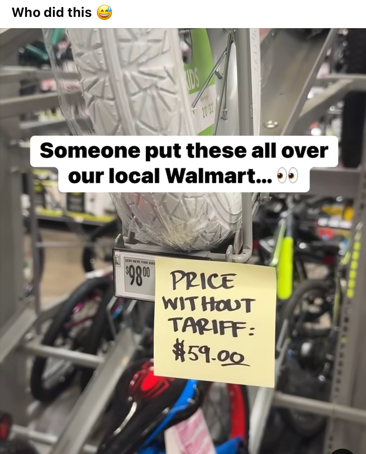 Ellen Mitchell (@ellenmitchell2):