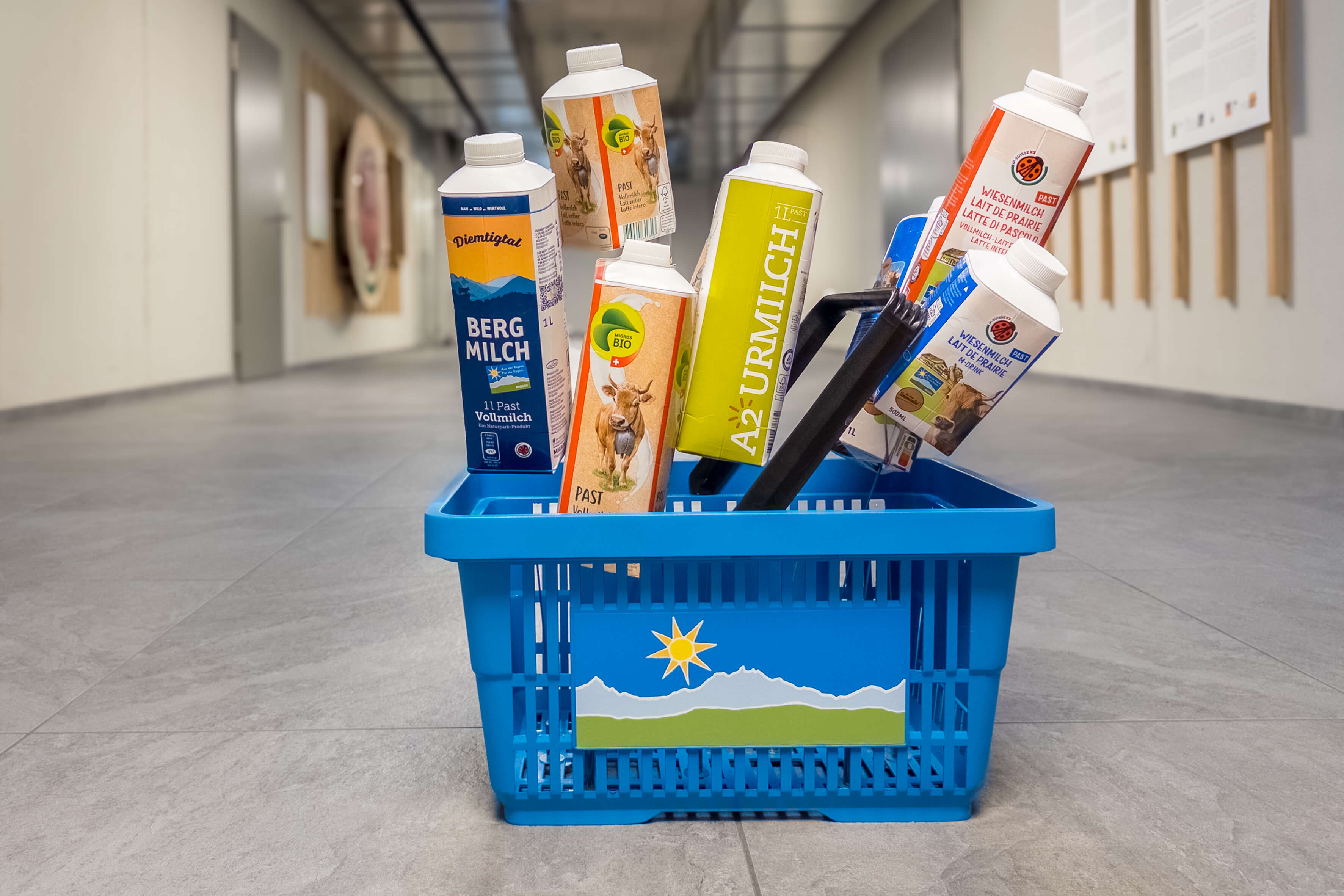 Ultimativer Überblick: Milchsorten im Vergleich – Unterschiede ...