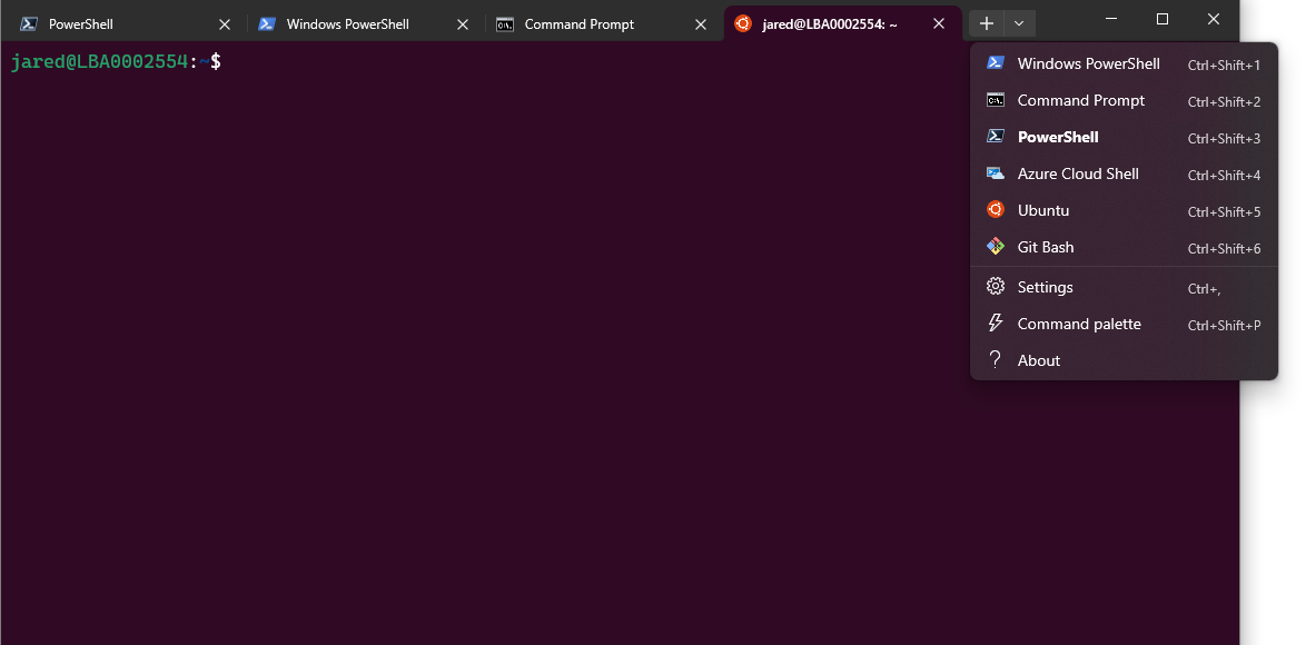 How To - Run Microsoft Terminal Full Screen and perform some other neat tricks