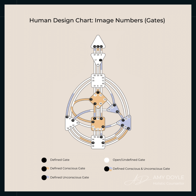 De Grote Human Design Special, deel 2
