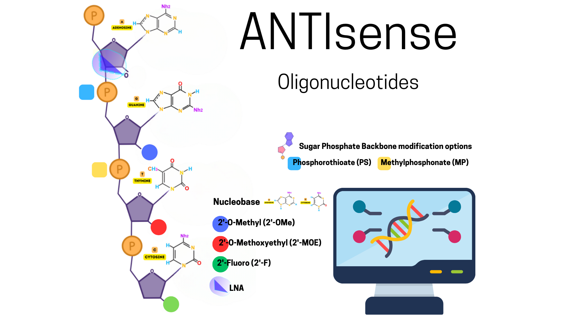 Understanding RNA-Based Therapies: From Antisense Oligonucleotides to mRNA