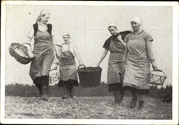 Organizations of the Reich - The Reichsarbeitsdienst (RAD)