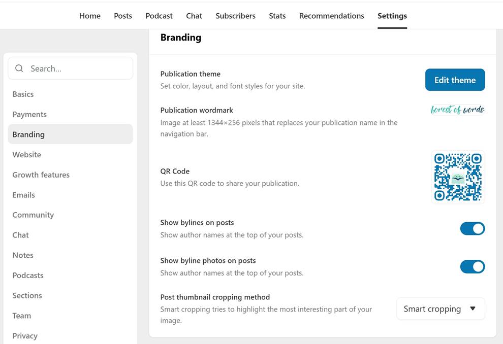 Brand Substack! Easy Custom Themes You Need To Stand Out