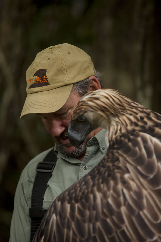 Falconry and Raptor Conservation - by Jay Card