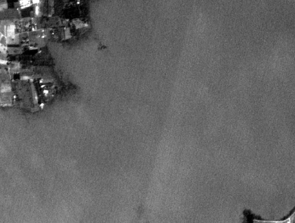 Exploration of the brand new LISS4 data release and opportunities