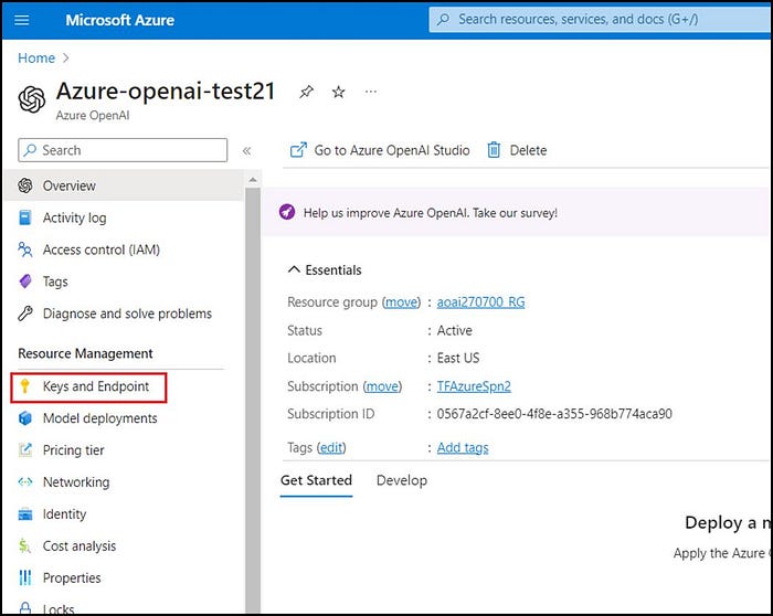 The Ultimate Guide to Setting Up Azure Open AI Lab and OpenAI Services