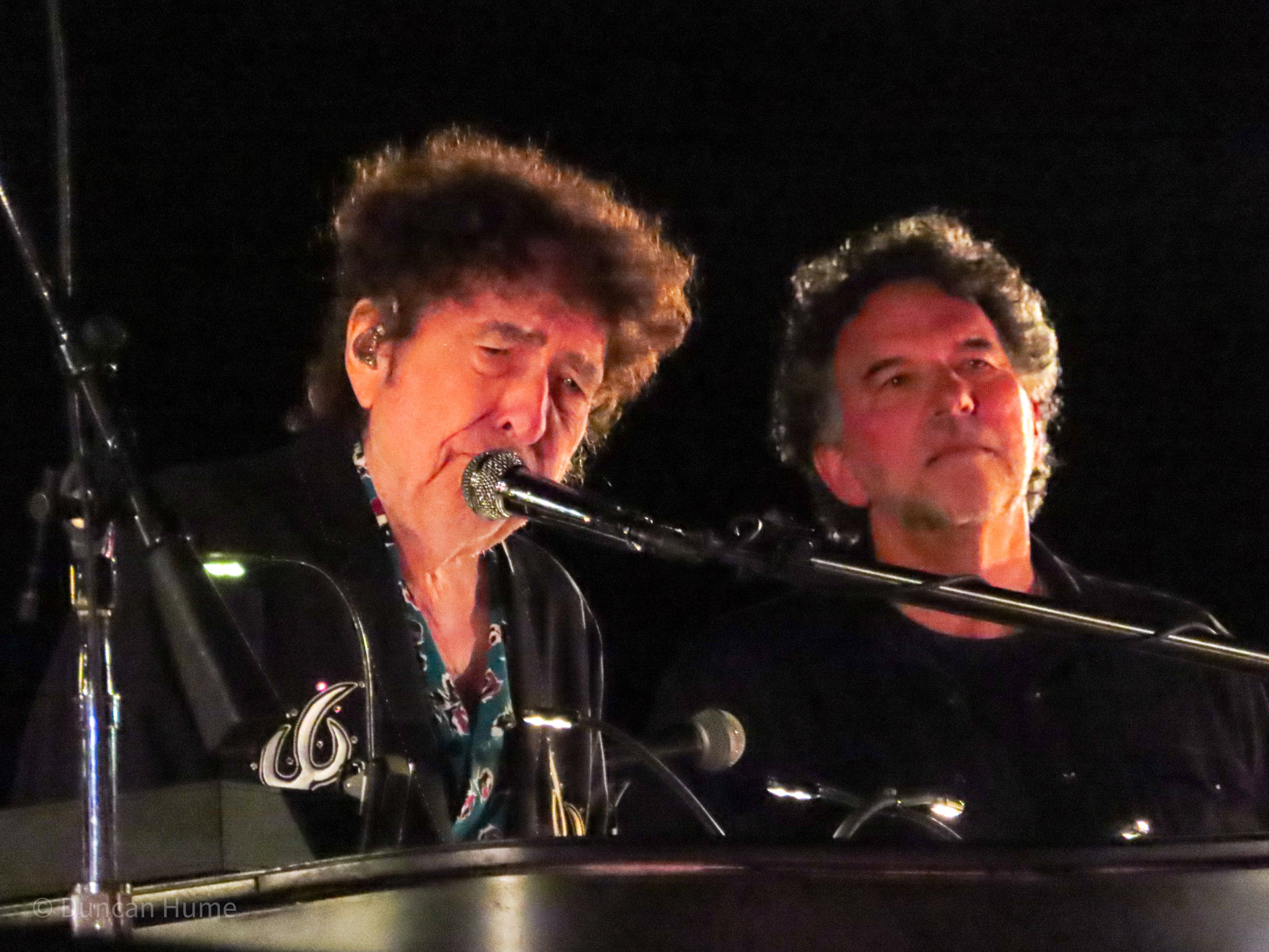 Review: Bob Dylan in Clarkston, MI 2024 (by Caryn Rose)
