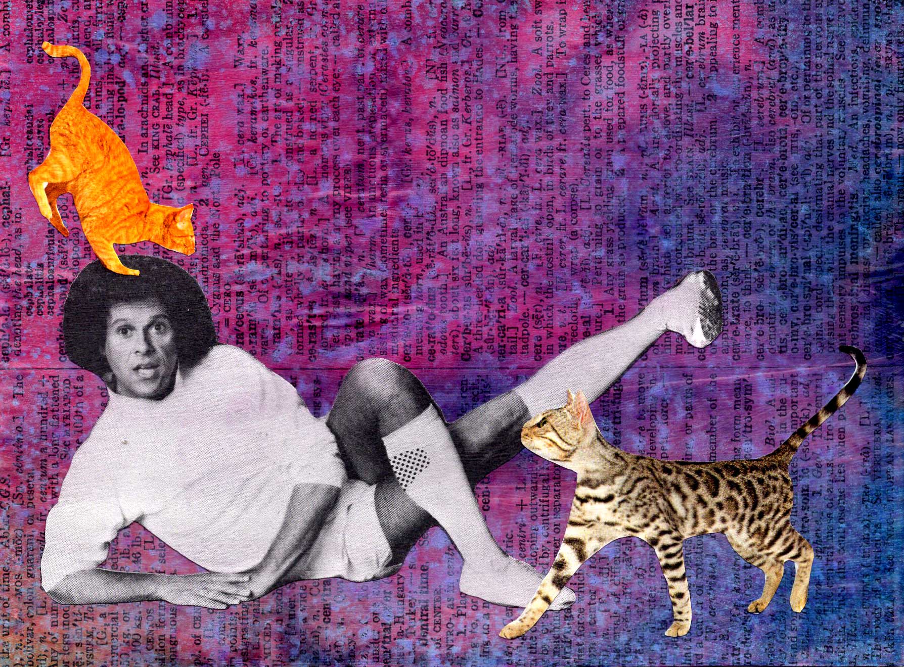 Richard Simmons exercising with cats - by Jen Russell