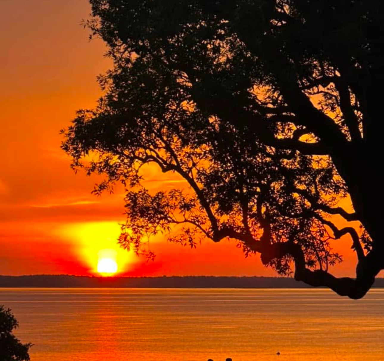 Irene Kigais (@irenekigais): "I had a very difficult day at the hospital today and straight ...