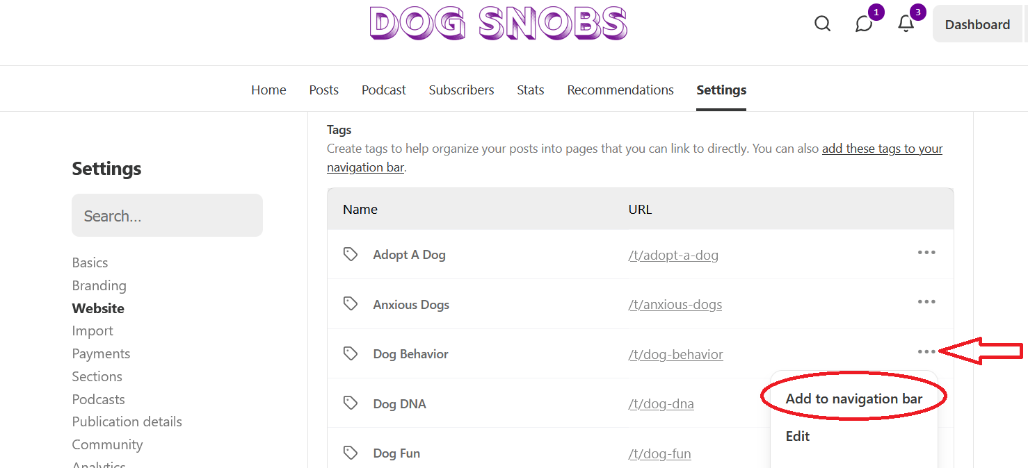 You Might Not Know How Useful Substack Post Tags Are