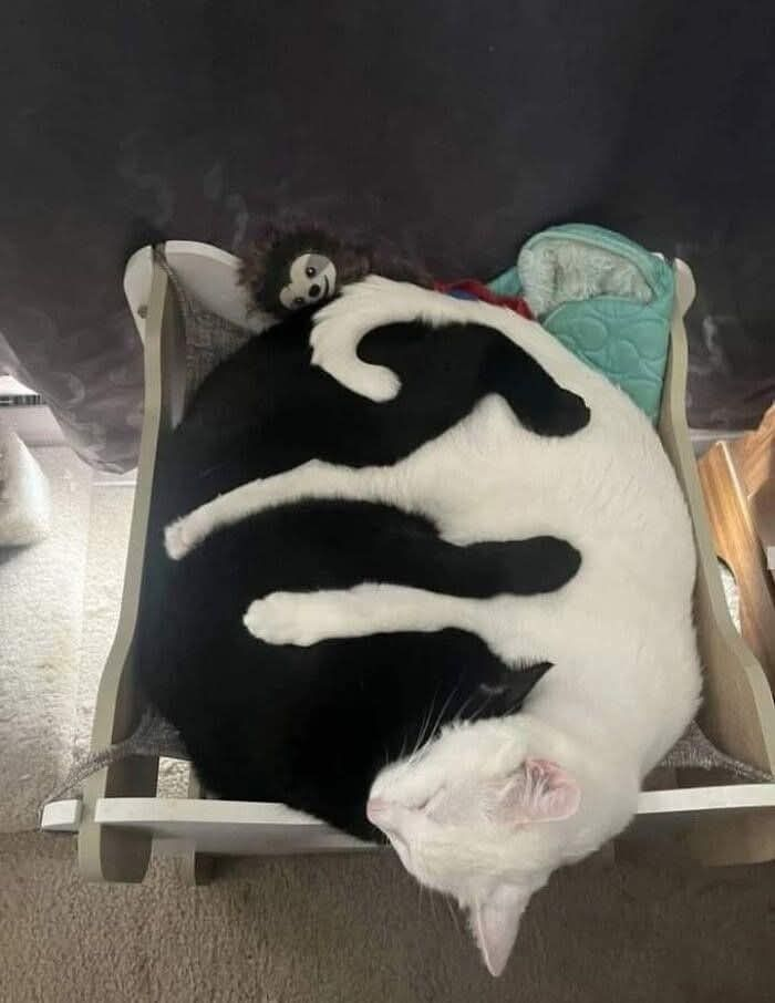 Santi Araújo on Substack: