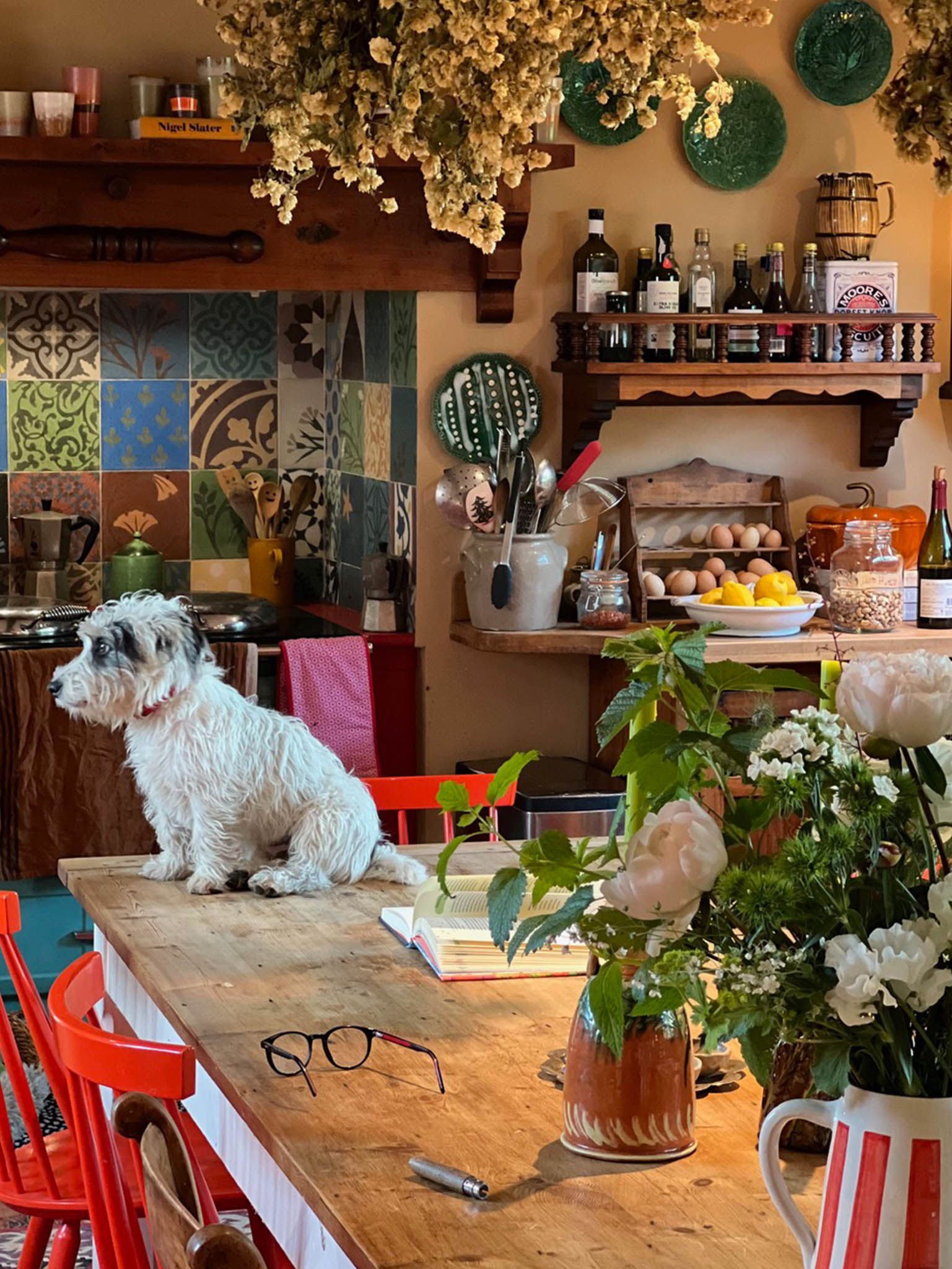 India Knight on her love of home