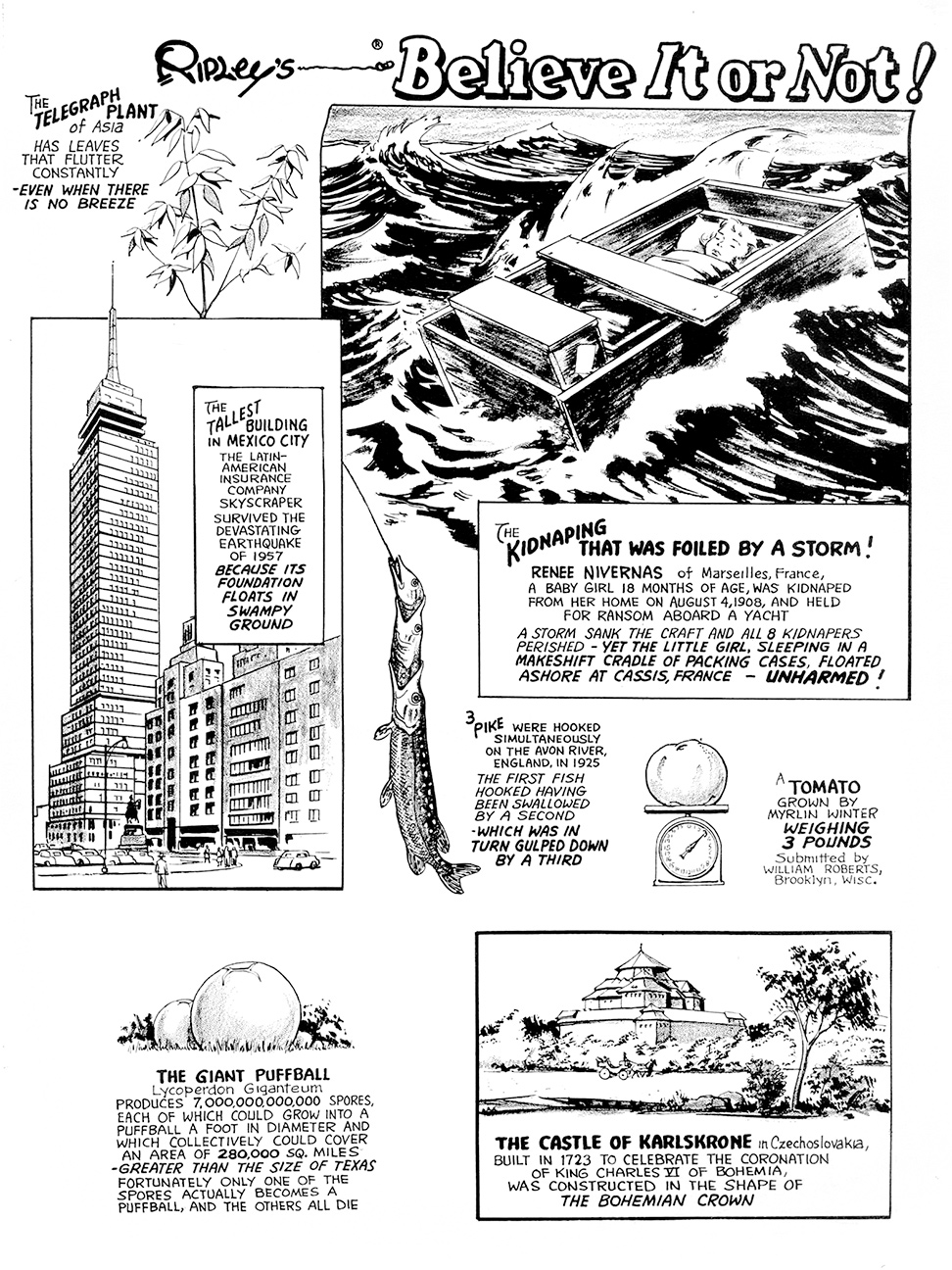 Robert Ripley: Believe It or Not! - by Bill Russell