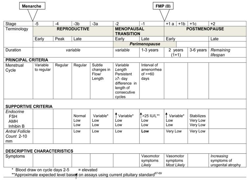 Introducing the Stages of Reproductive Aging Workshop (STRAW +10) criteria