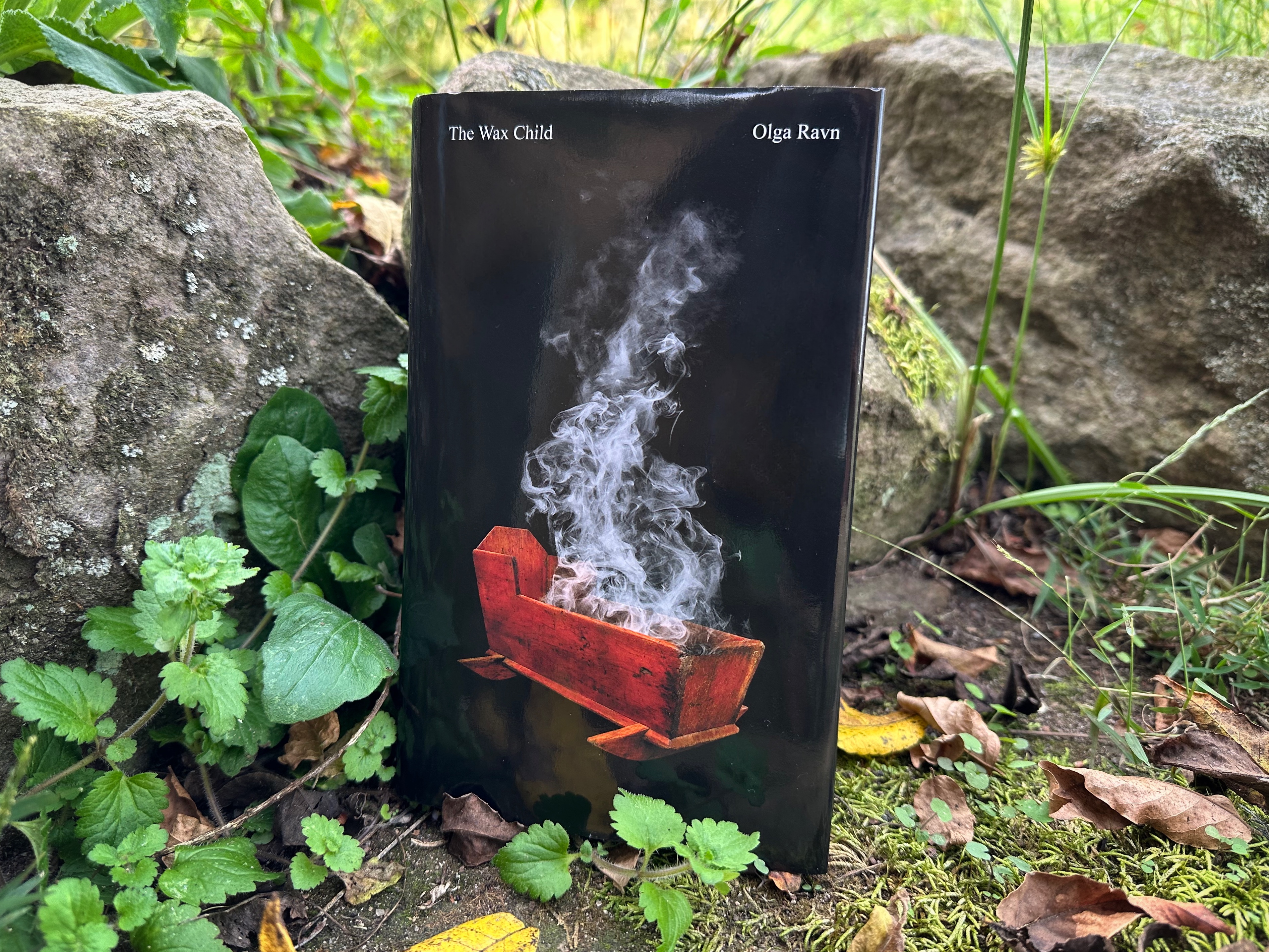 Dog-Eared and Premiered: September 2025 - by Katie Calautti
