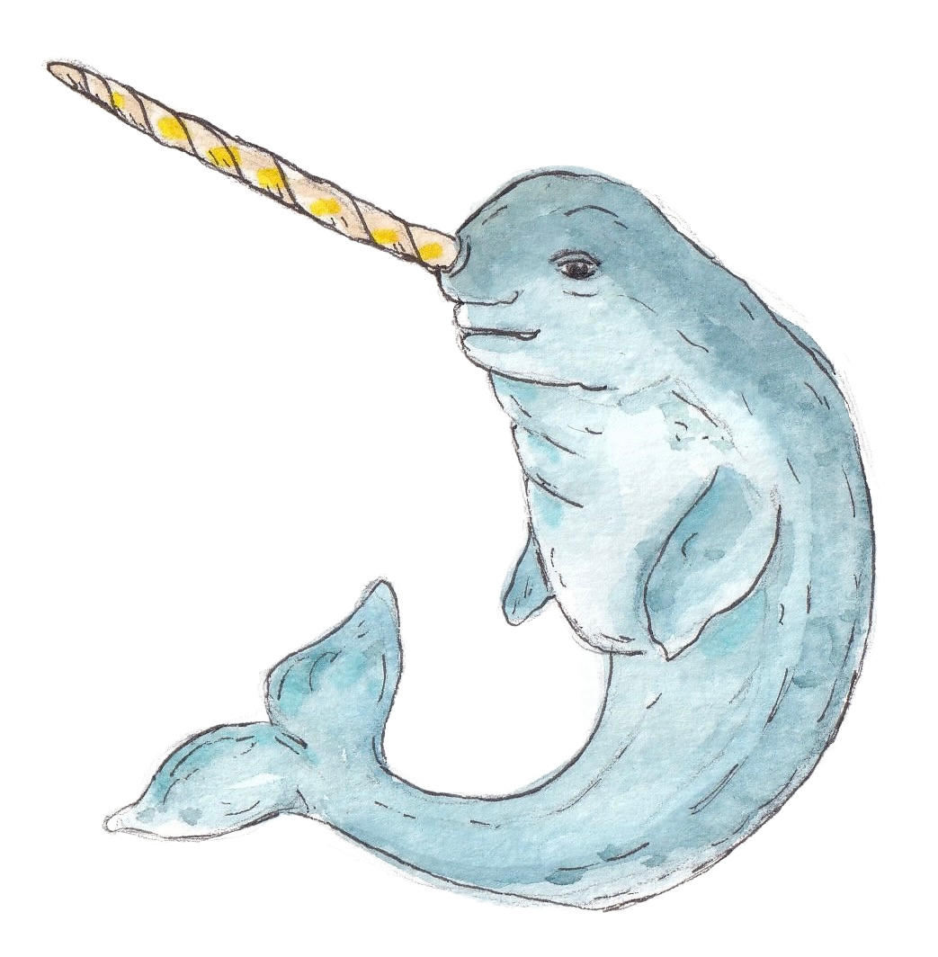 66. Magic Narwhal, Kind Eyes, Can't Lose