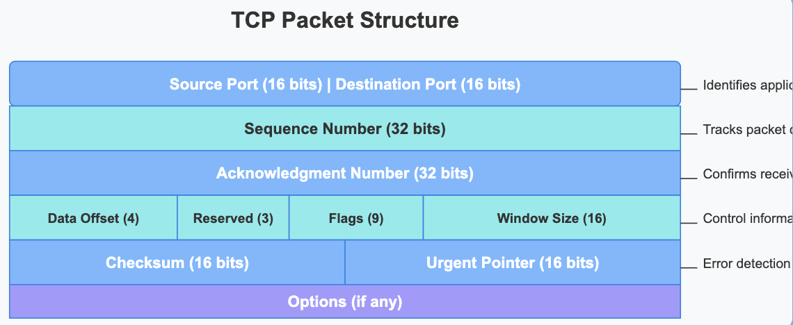 Understanding Network Protocols: HTTP, TCP/IP, UDP