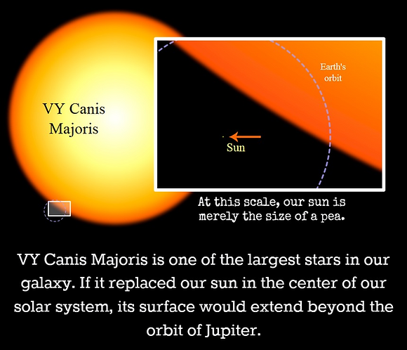 Massive star VY Canis Majoris is forming a nebula