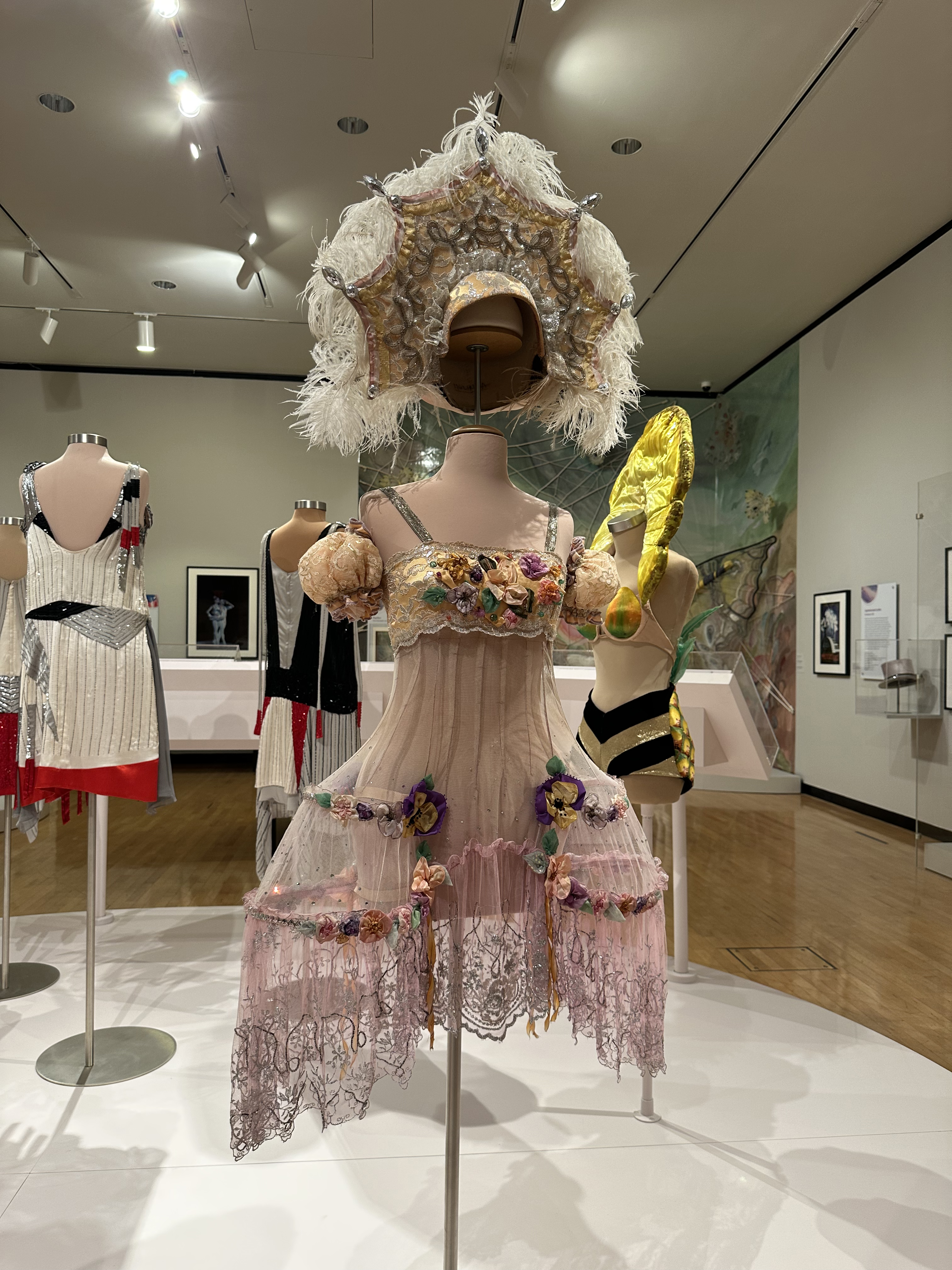 The Wondrous Willa Kim - by Laura McLaws Helms