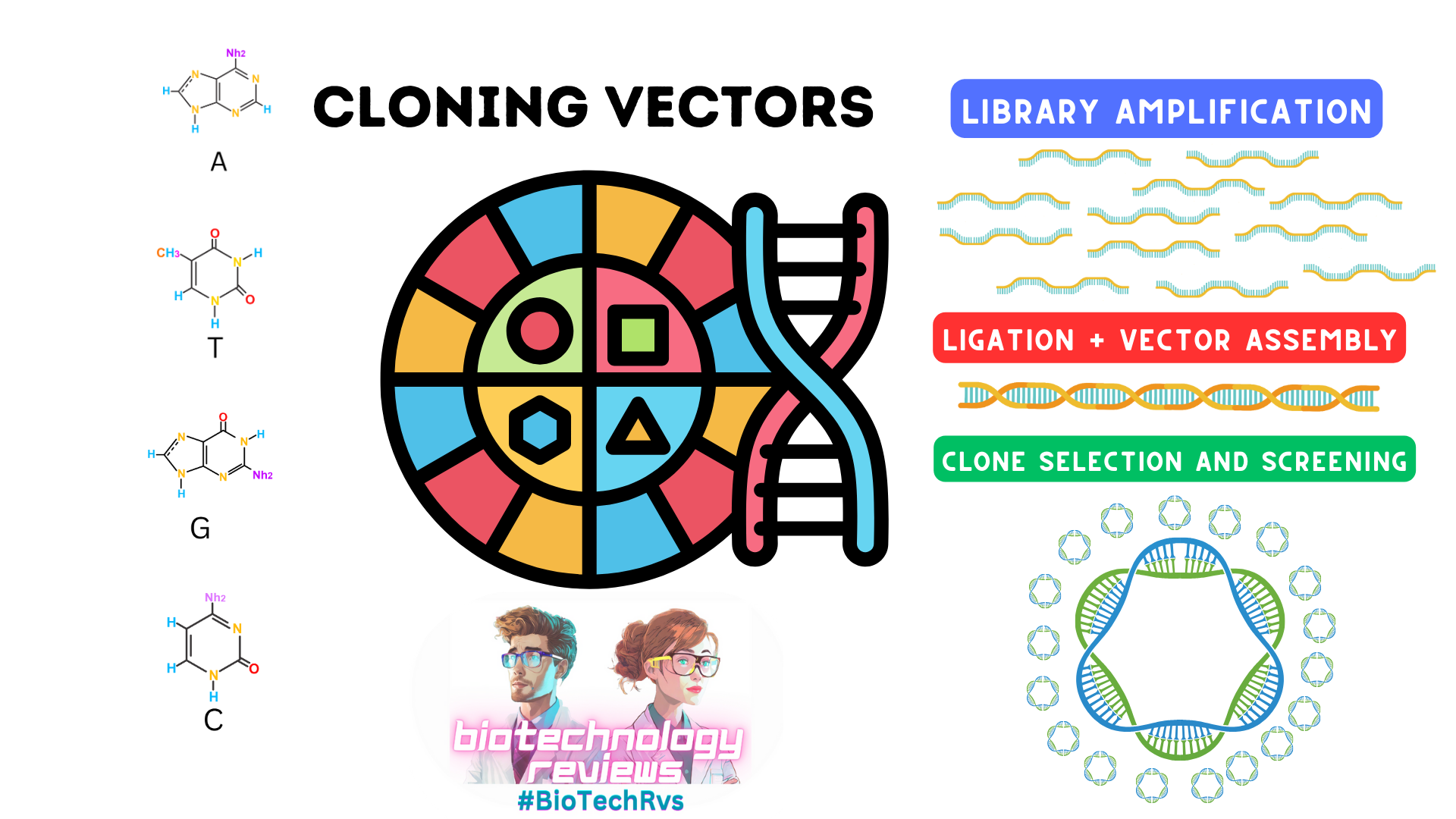 Cloning Vectors, Expression Vectors, Design, biochemical structure, function, and physiological role
