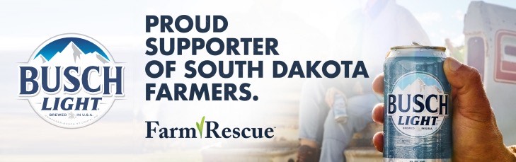 Former DSS employee Lonna Carroll made large-cash withdraws in ...