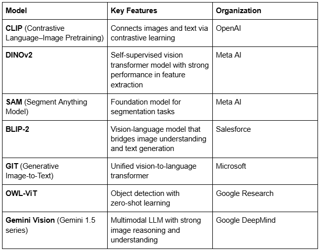 The 2025 AI Vision Models: A Field Guide to the Models Shaping How ...
