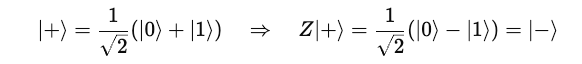 A Lesson On Pauli Matrices As Quantum Gates
