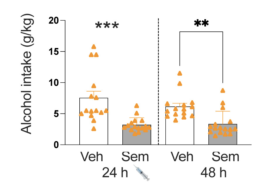The Growing Scientific Case for Using Ozempic and other GLP-1s to Treat ...
