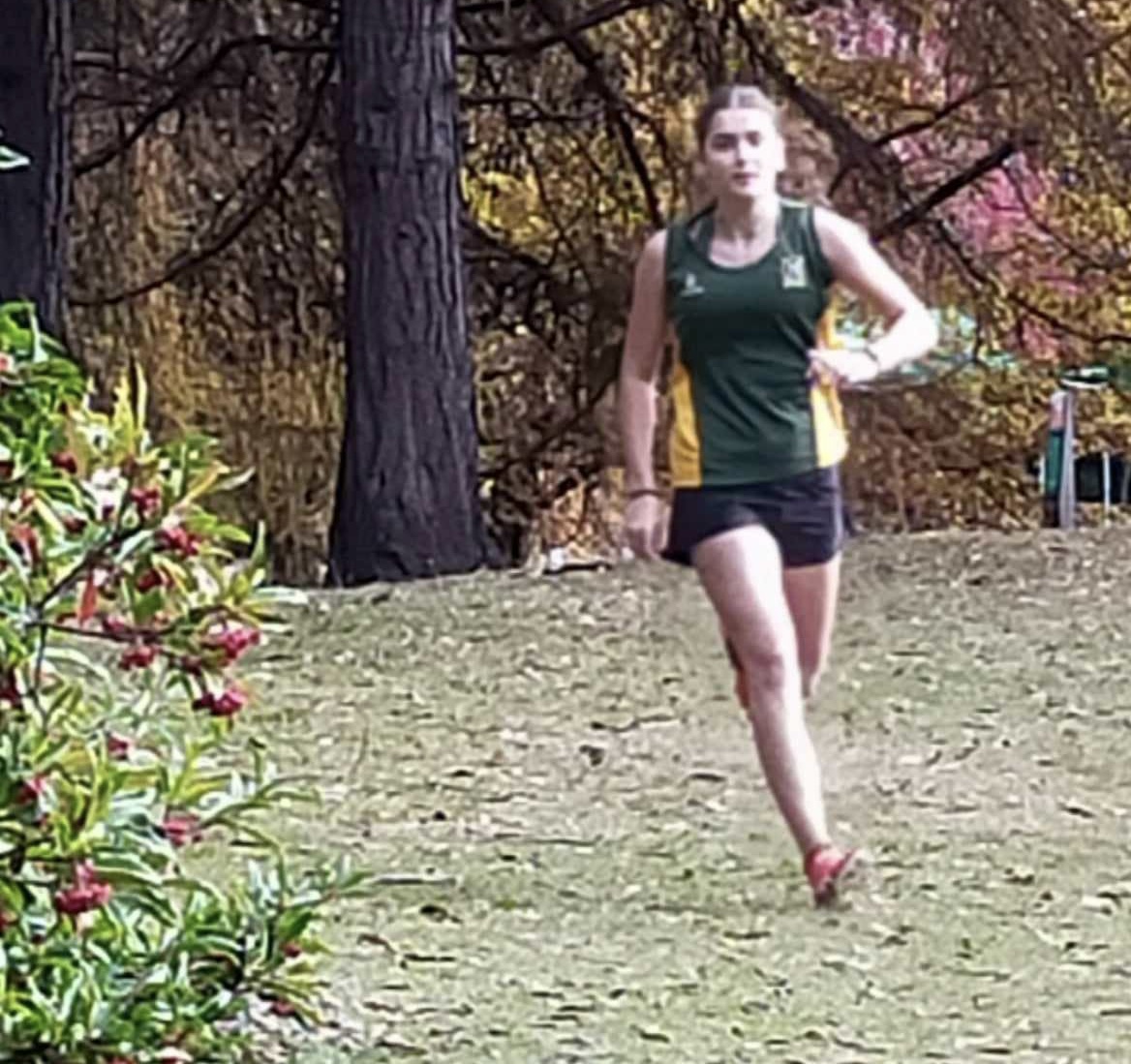 New champions found at school cross country championships
