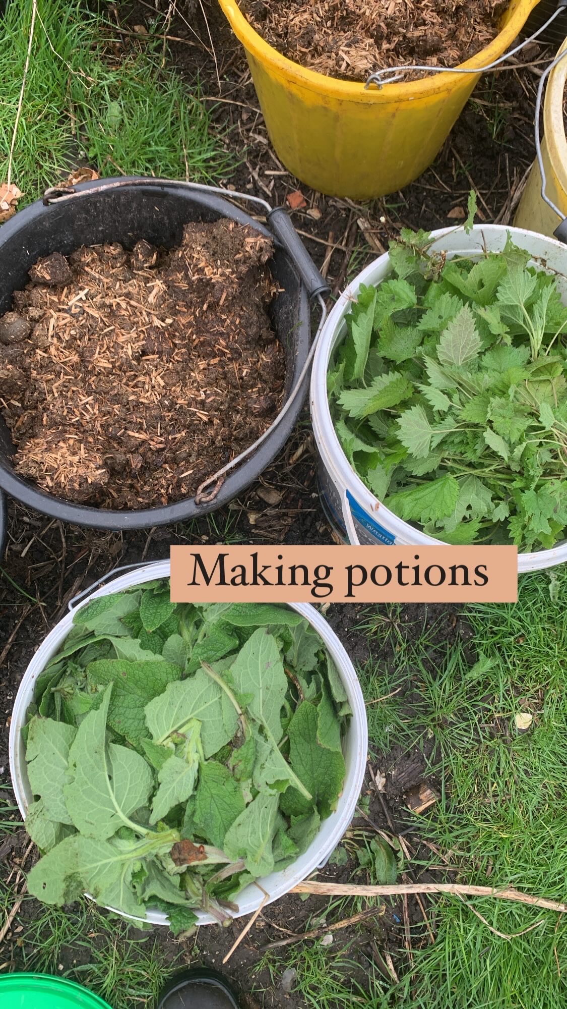 #7 Make you own liquid feeds and apply once a month.