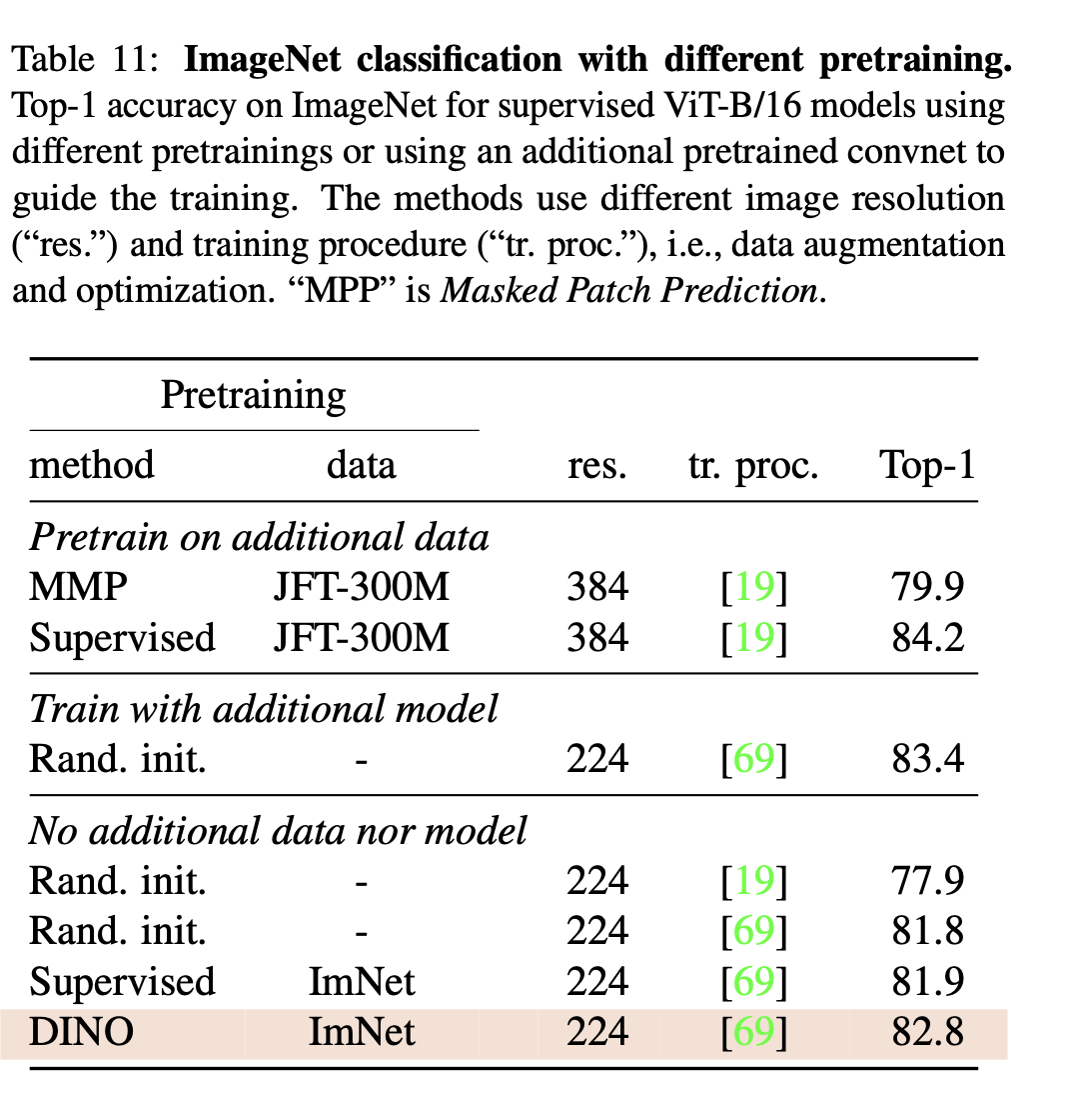 DINO Explained: How Self-Supervised Learning Unlocked Vision Transformers