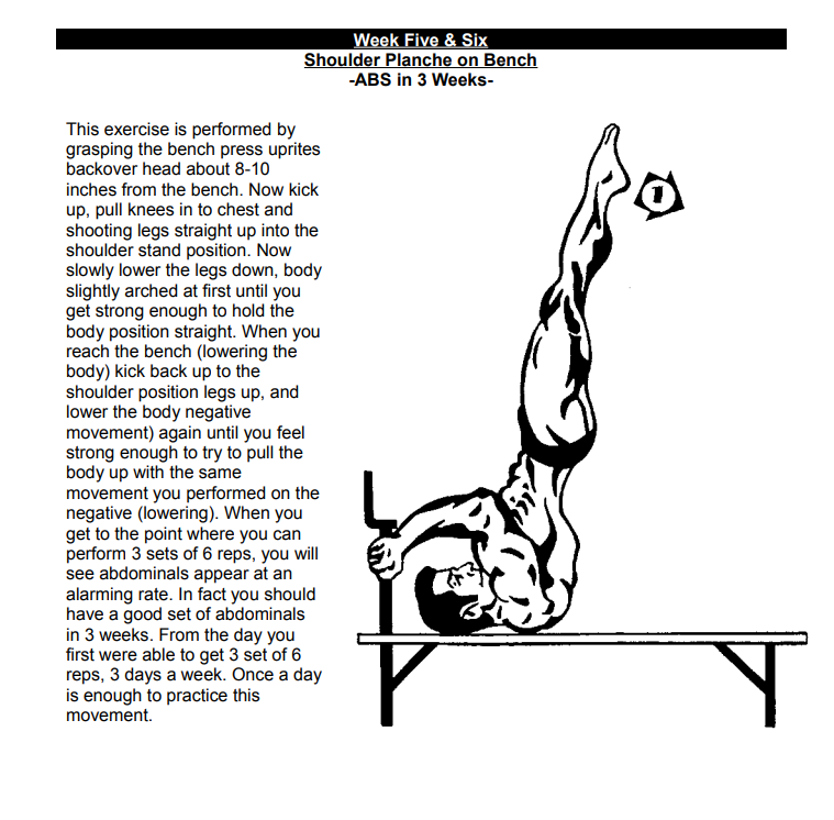 THE OG: Vince's 6 Week Abdominal Specialisation Course